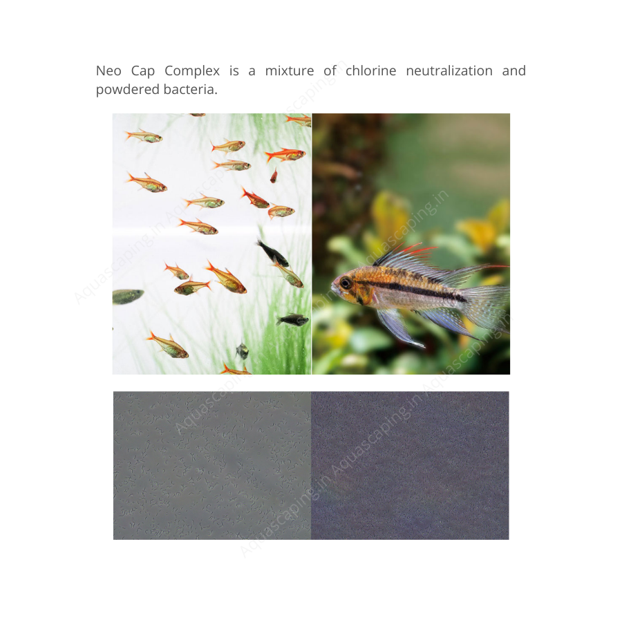Neo Cap Complex - Chlorine Neutralisation