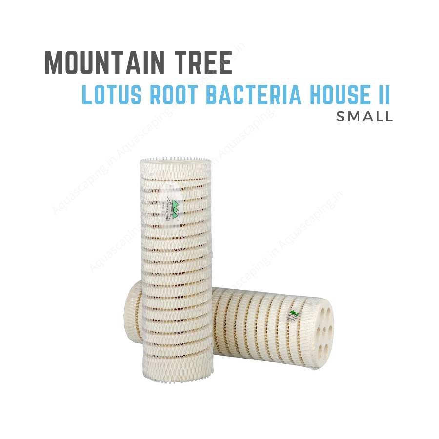 Lotus Root Bacteria House II - Small MTF207